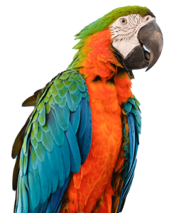 About Us - Highpoint Haven