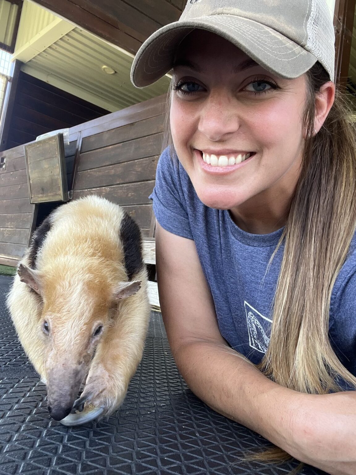 About Us - Highpoint Haven